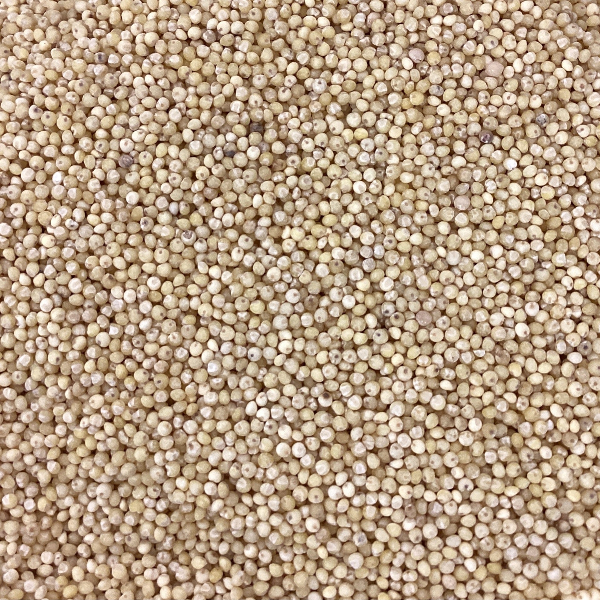 Millet Organic | Live Free Refillery